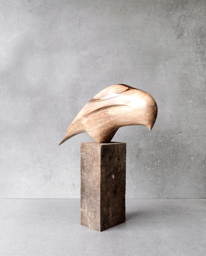 Minimalist wooden Kea sculpture